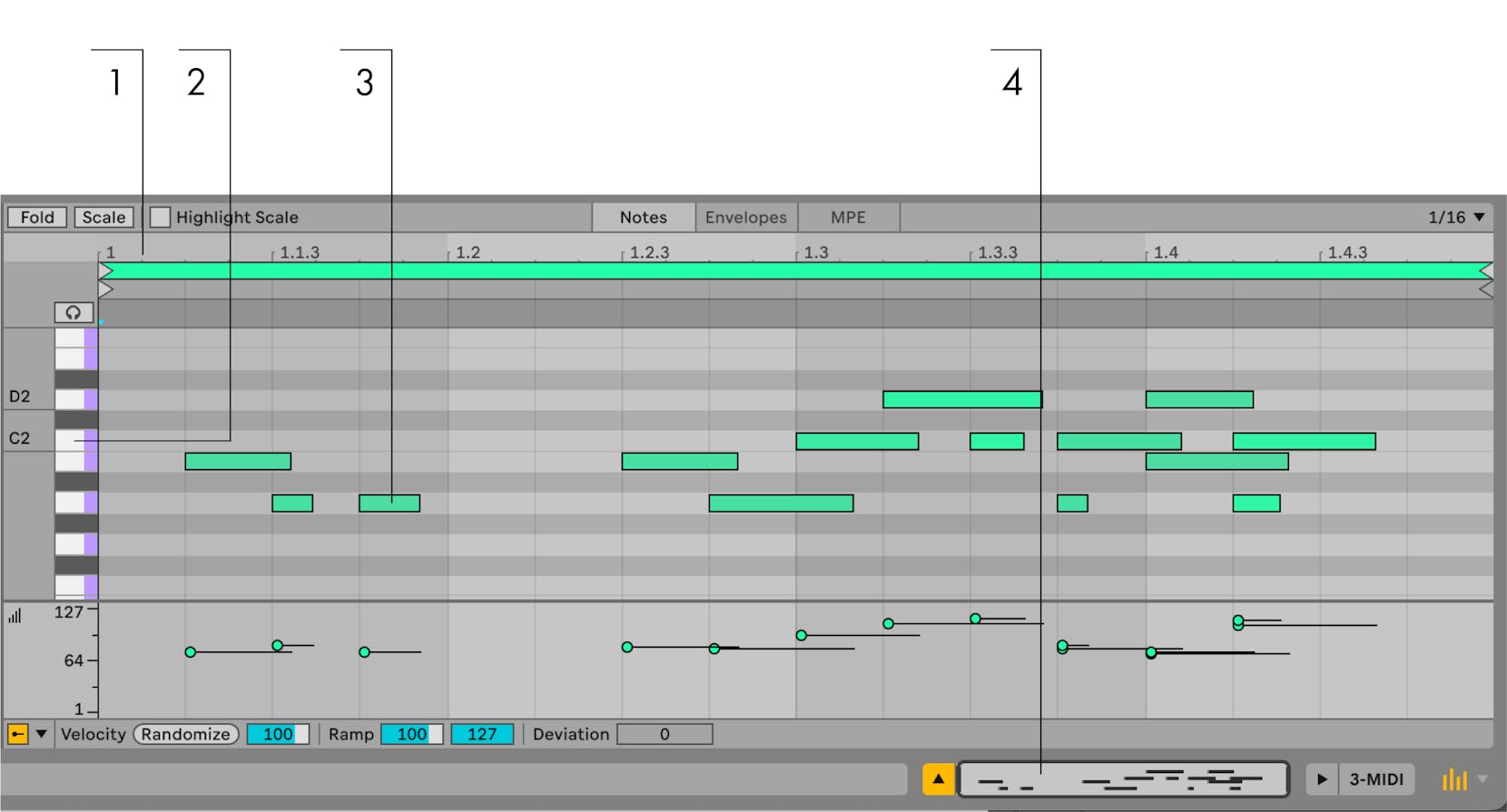 Editing MIDI — Ableton Reference Manual Version 12 | Ableton