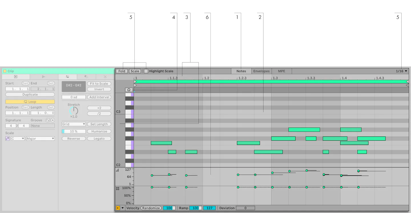 Editing MIDI — Ableton Reference Manual Version 12 | Ableton
