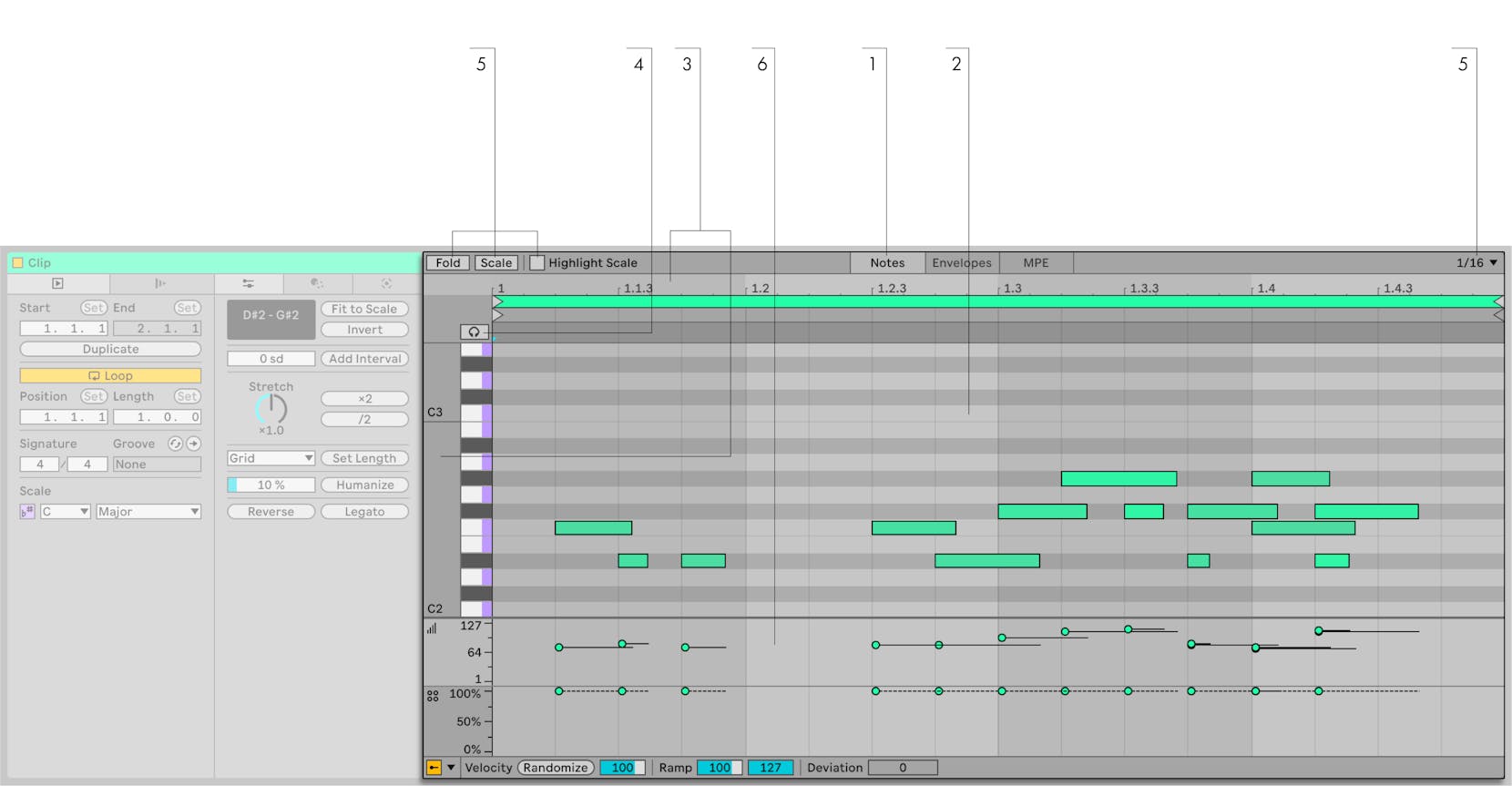 Editing MIDI — Ableton Reference Manual Version 12 | Ableton