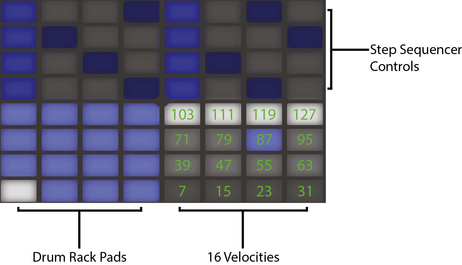 Using Push 2 — Ableton Reference Manual Version 12 | Ableton