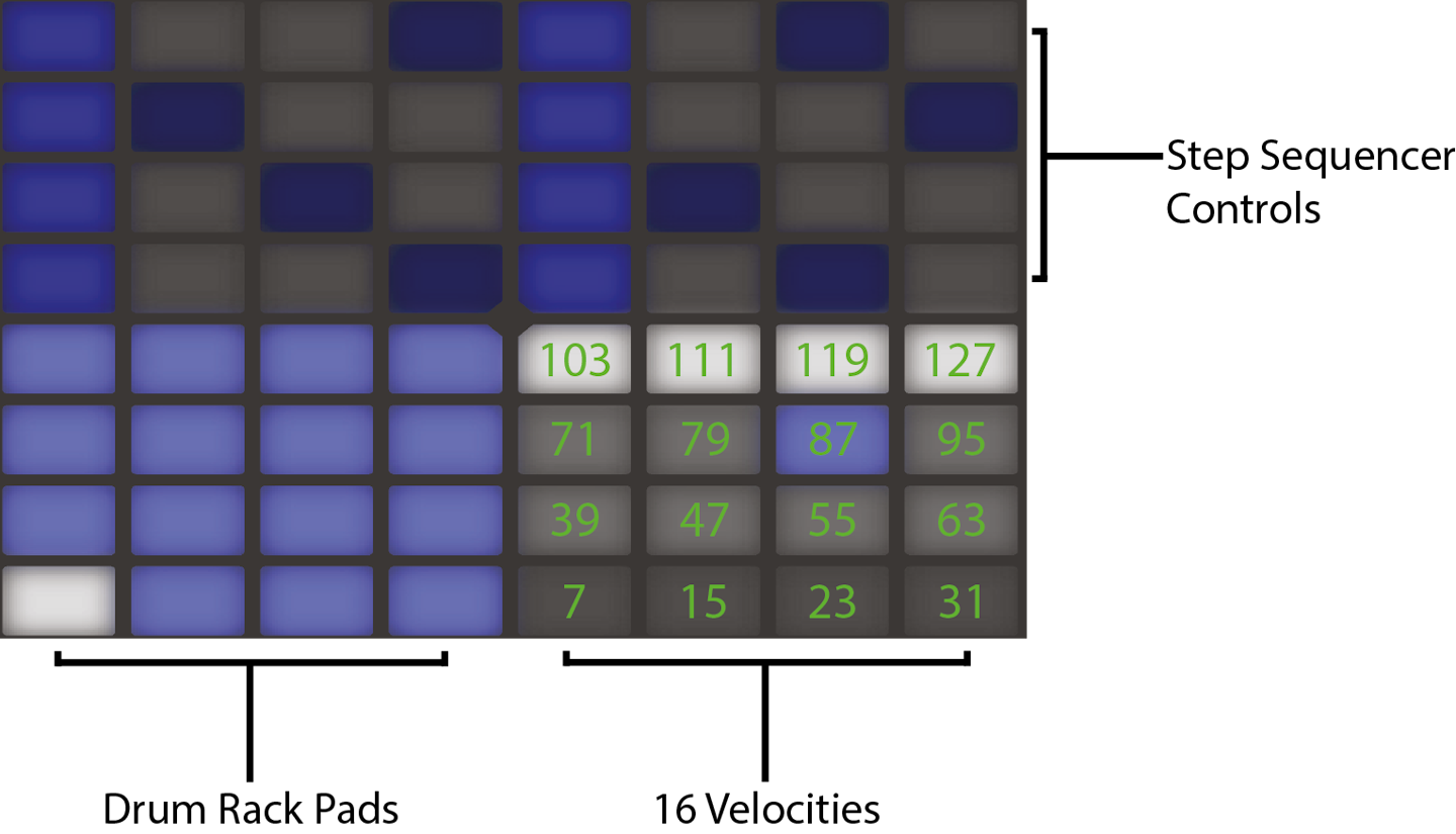 Using Push 2 — Ableton Reference Manual Version 12 | Ableton