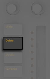 Using Push 1 — Ableton Reference Manual Version 12 | Ableton