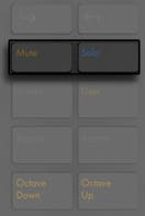 Using Push 1 — Ableton Reference Manual Version 12 | Ableton