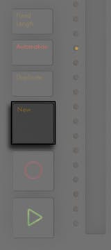 Using Push 1 — Ableton Reference Manual Version 12 | Ableton