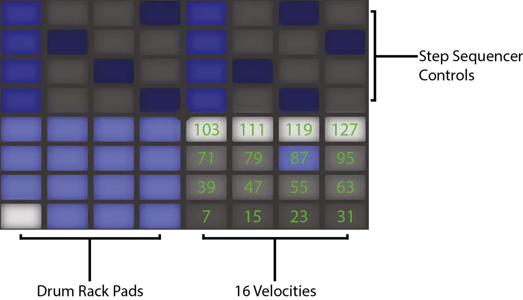 Using Push 2 — Ableton Reference Manual Version 11 | Ableton